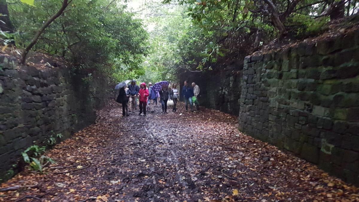 Hidden History of Childwall Woods and Fields. | Friends of Childwall ...