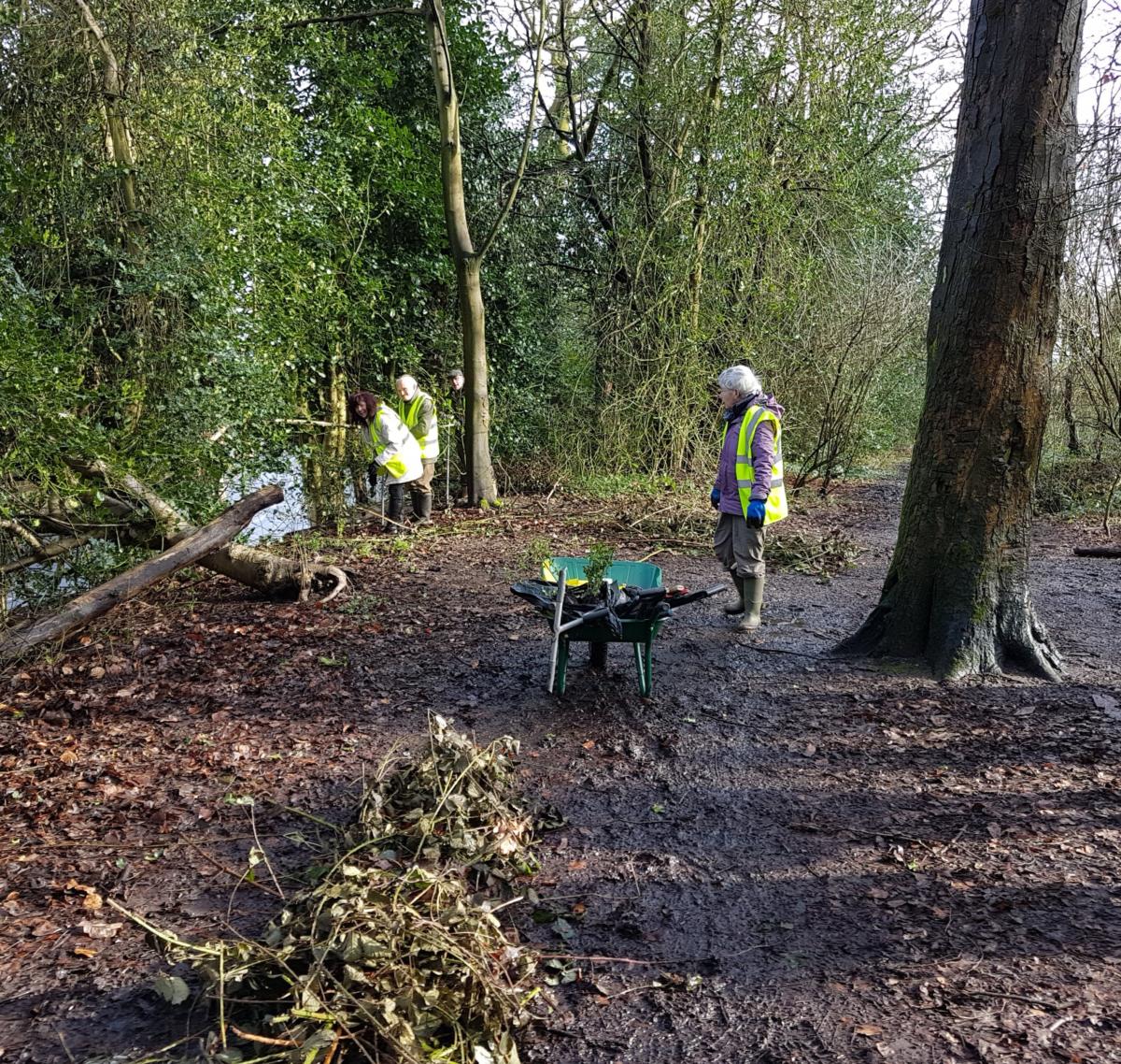 Maintenance /Tree Planting Event 23/2/20 | Friends of Childwall Woods ...