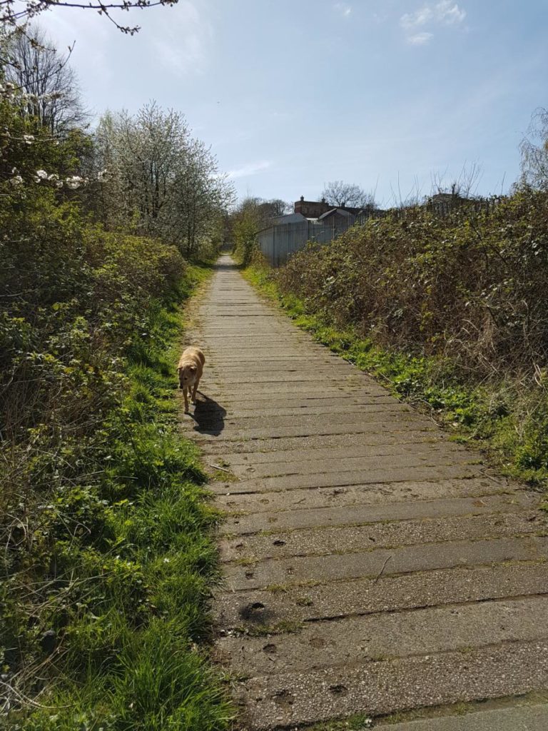 Walk 3 | Friends of Childwall Woods and Fields