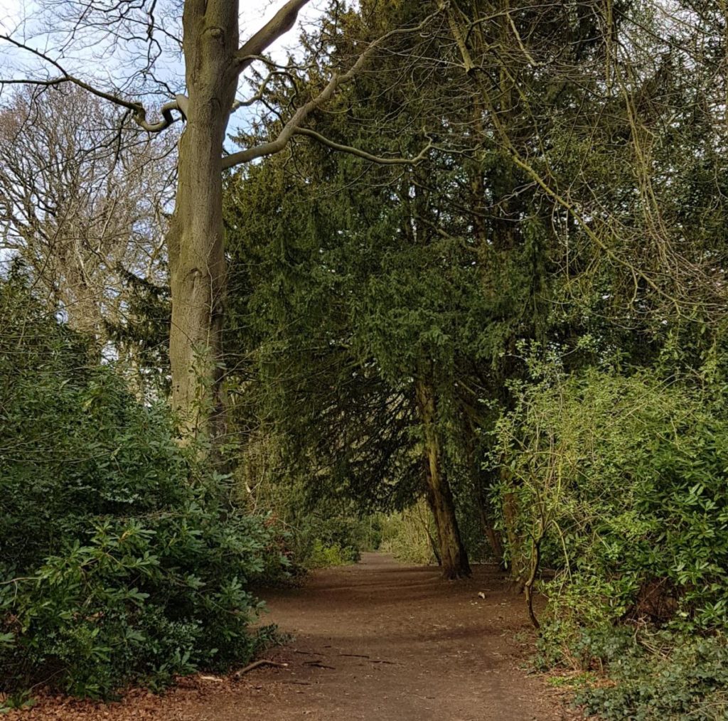 Walk 1 | Friends of Childwall Woods and Fields