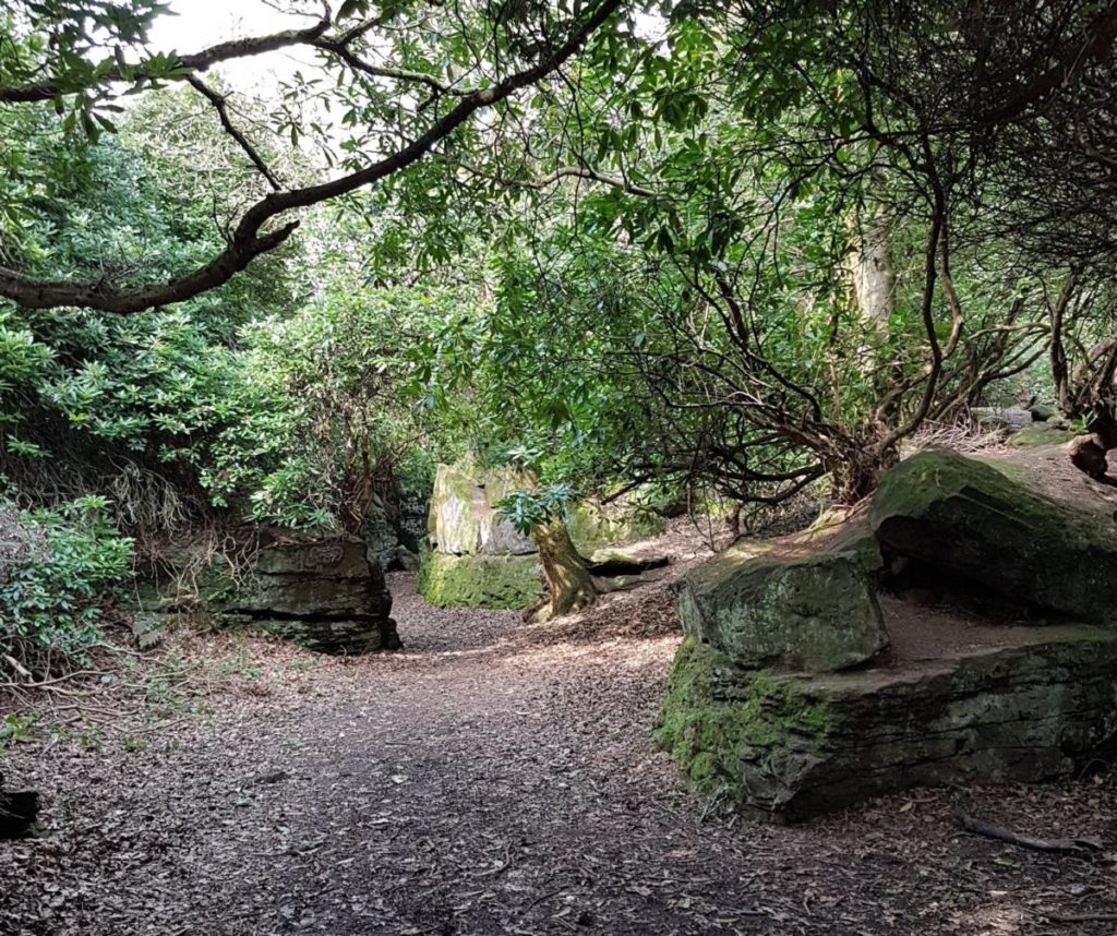 The Hidden History | Friends of Childwall Woods and Fields