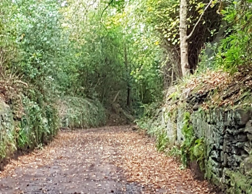 Walk 1 | Friends of Childwall Woods and Fields