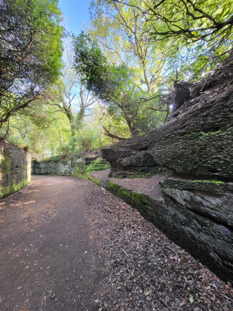 History of Childwall Woods | Friends of Childwall Woods and Fields