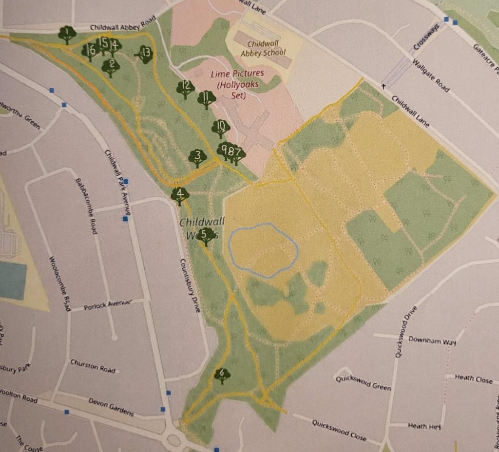 The Veteran Tree and Ancient Rhododendron Walk. | Friends of Childwall ...