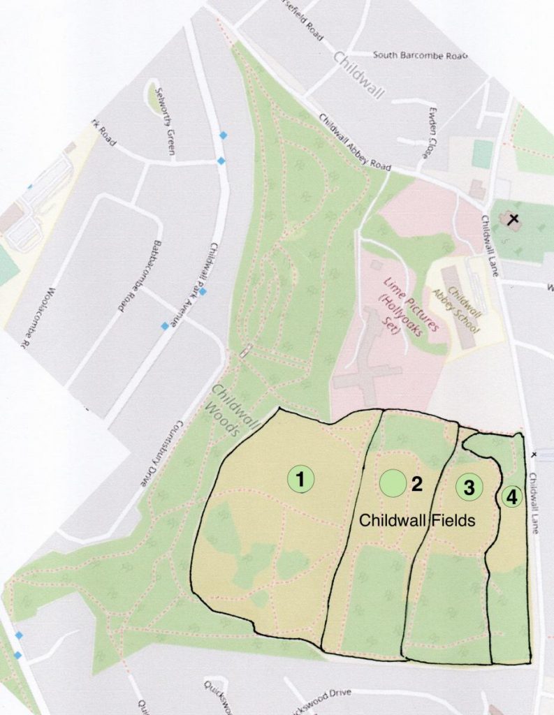 The Trees of Childwall Fields | Friends of Childwall Woods and Fields