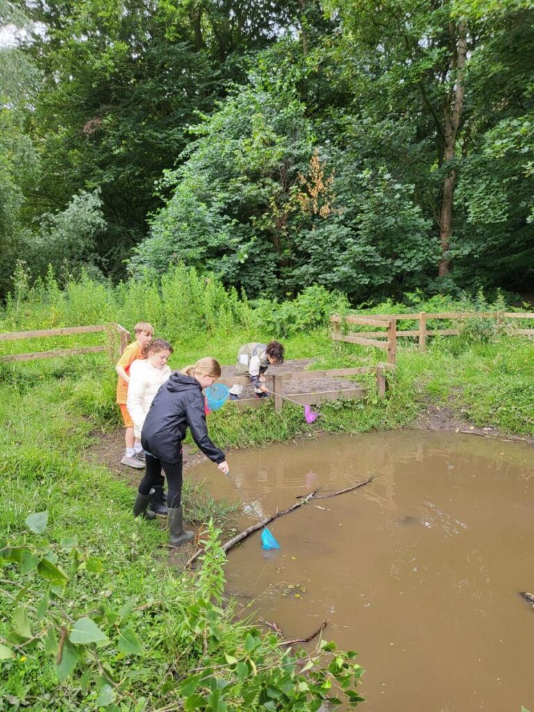 Pond Dipping and Craft Event | Friends of Childwall Woods and Fields